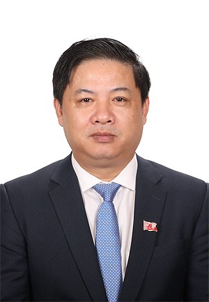 Luong Nguyen Minh Triet | Alternate member of the 13th Party Central ...
